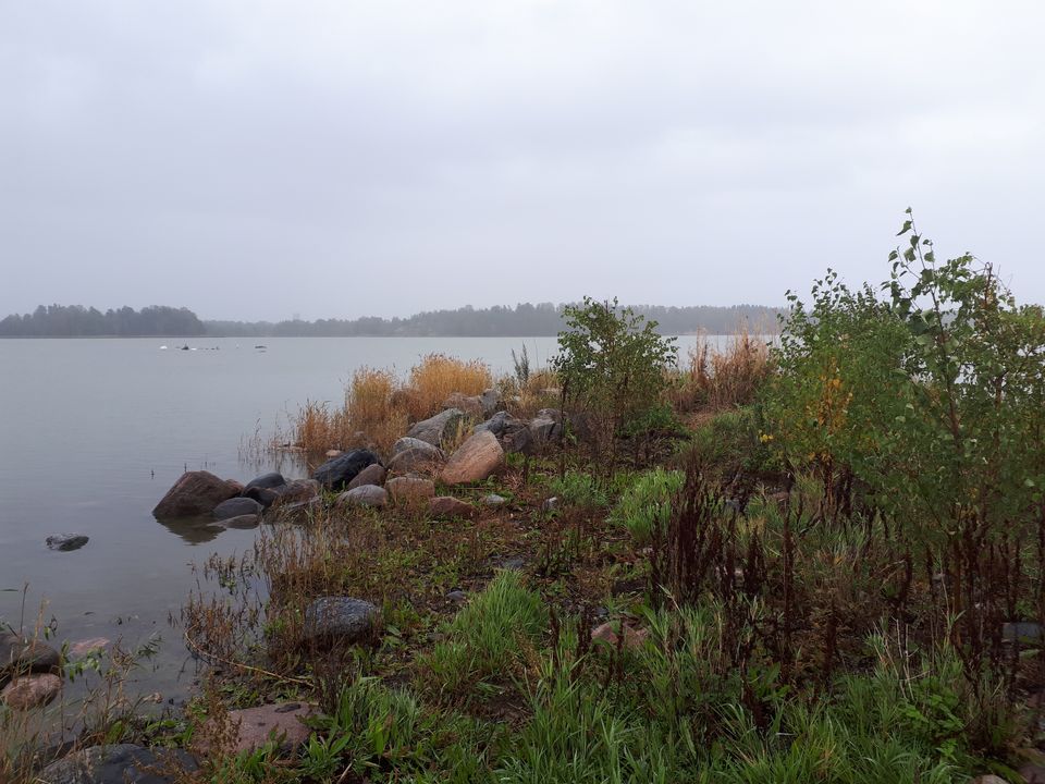 Helsingin kaupunki valmistelee luonnonsuojelualueiden perustamista ... Helsingin kaupunki valmistelee luonnonsuojelualueiden perustamista ...