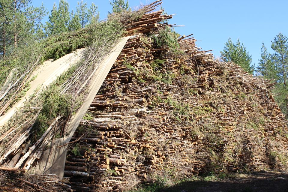 Lassila & Tikanojan ja Neovan energiapuuliiketoiminnat yhdistyivät ...