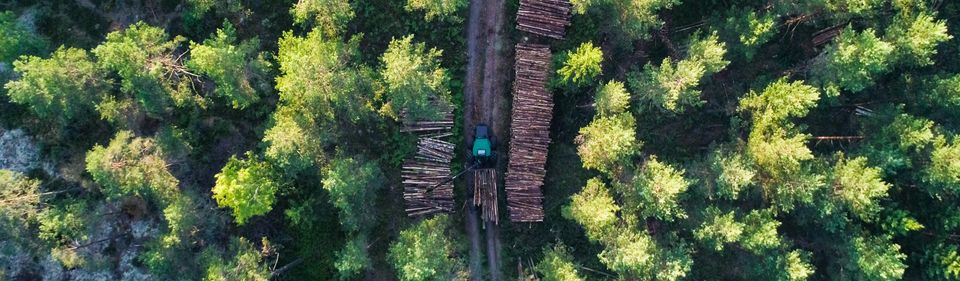 Yksityismetsätalouden tukia on kehitettävä kokonaisuutena | VTV ...