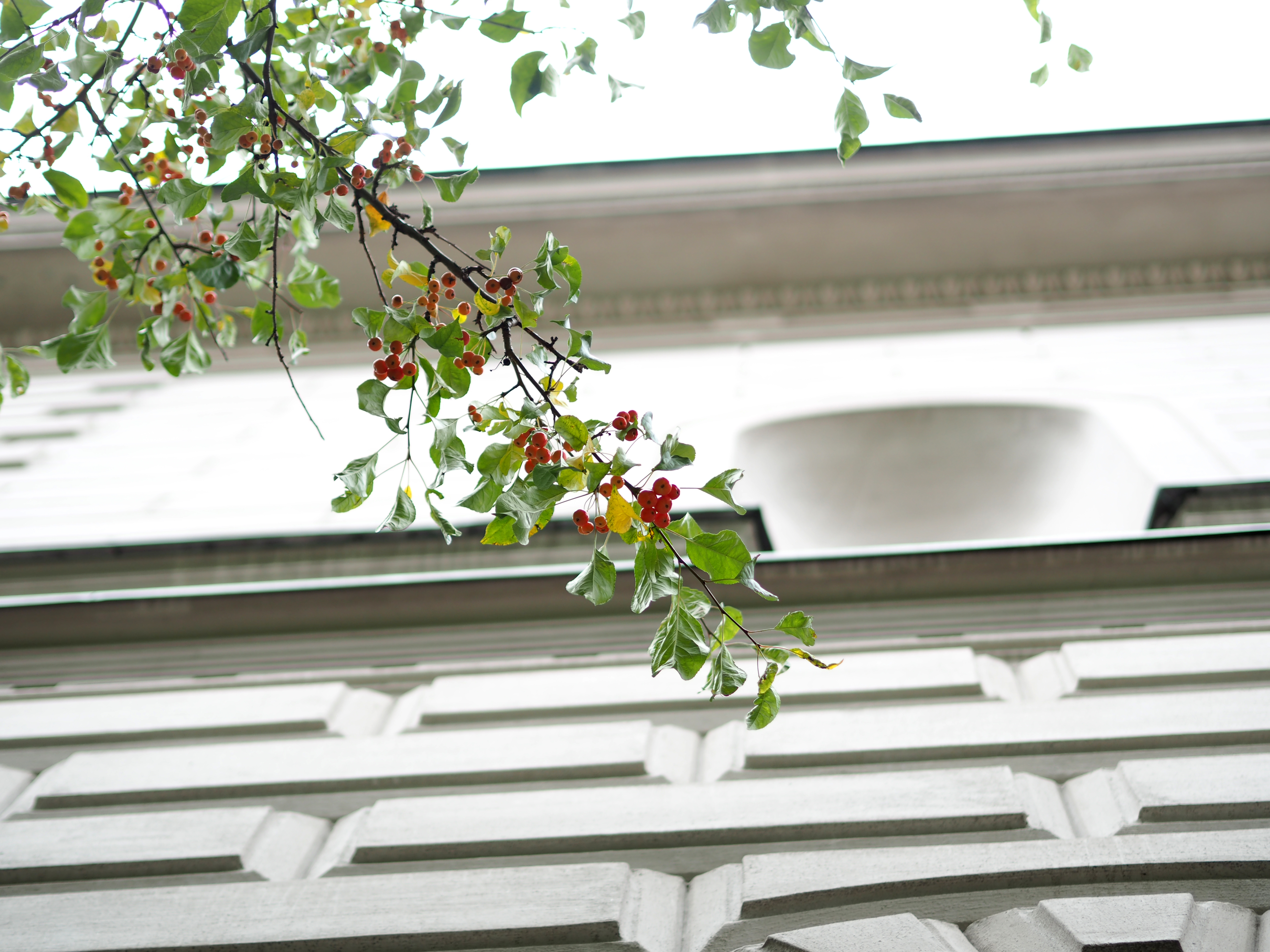 Bank of Finland rules for counterparties and customers – rules update ...