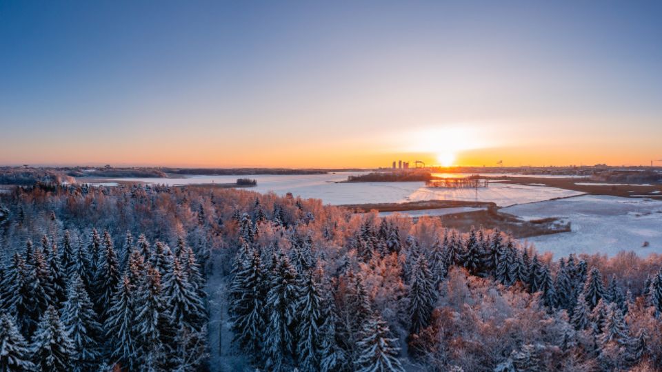 Kansainvälinen valuuttarahasto julkaisee arvion Suomen taloudesta ...