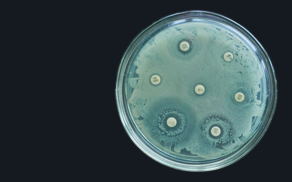 Miten bakteerit alkavat vastustaa tiettyjä antibiootteja? Laaja ...