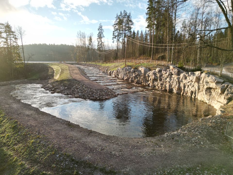 HSY ja Espoon kaupunki palauttavat yhdessä kalojen vaellusreittejä ...