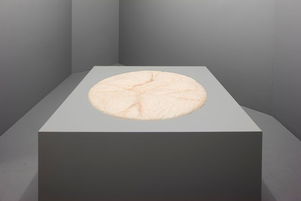 Amos Rexin vuoden 2025 näyttelyt haastavat kävijöiden käsityksiä ...