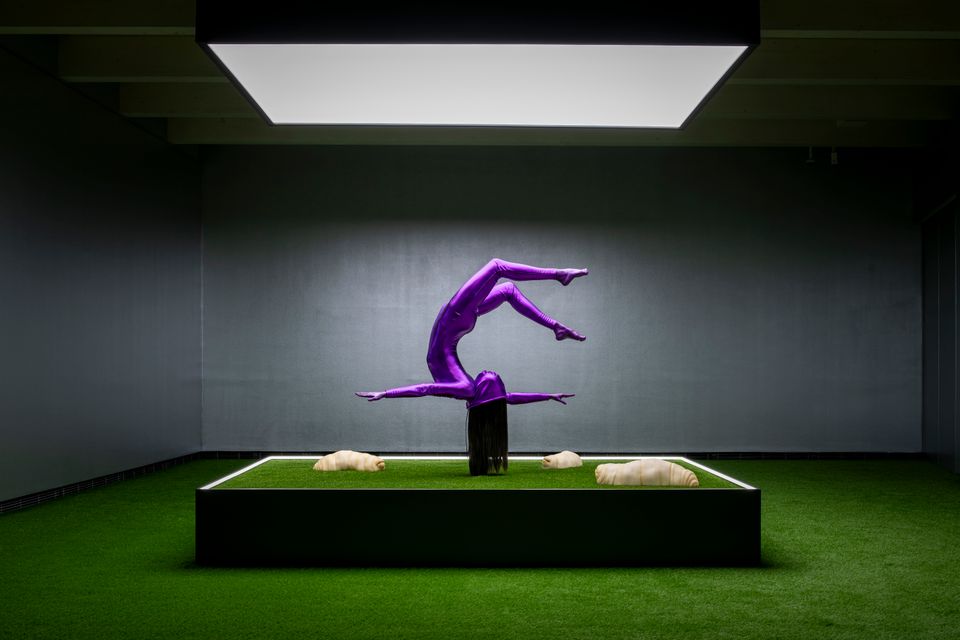 Amos Rexin vuoden 2025 näyttelyt haastavat kävijöiden käsityksiä ...