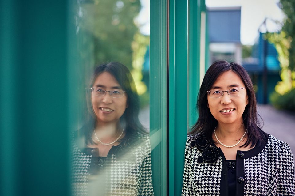 Academy Professor Guoying Zhao awarded valued IAPR 2024 Maria Petrou ...