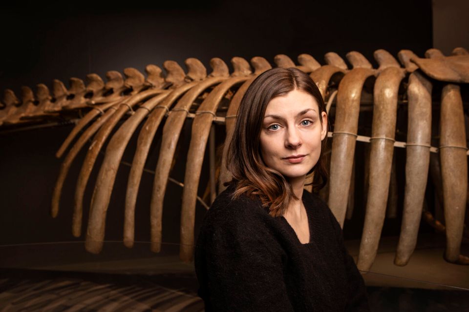 Iida Turpeisen menestysromaani Elolliset ehdolla Italian merkittävimmän ...