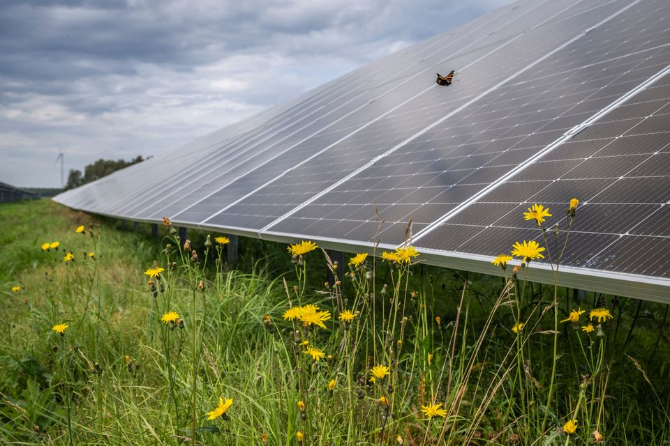 Skarta Energy rakennuttaa aurinkopuiston Pälkäneelle | Skarta Energy Oy