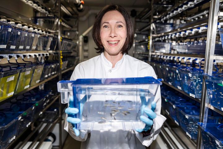 Mataleena Parikka on Tampereen yliopiston Vuoden keksijä | Tampereen ...