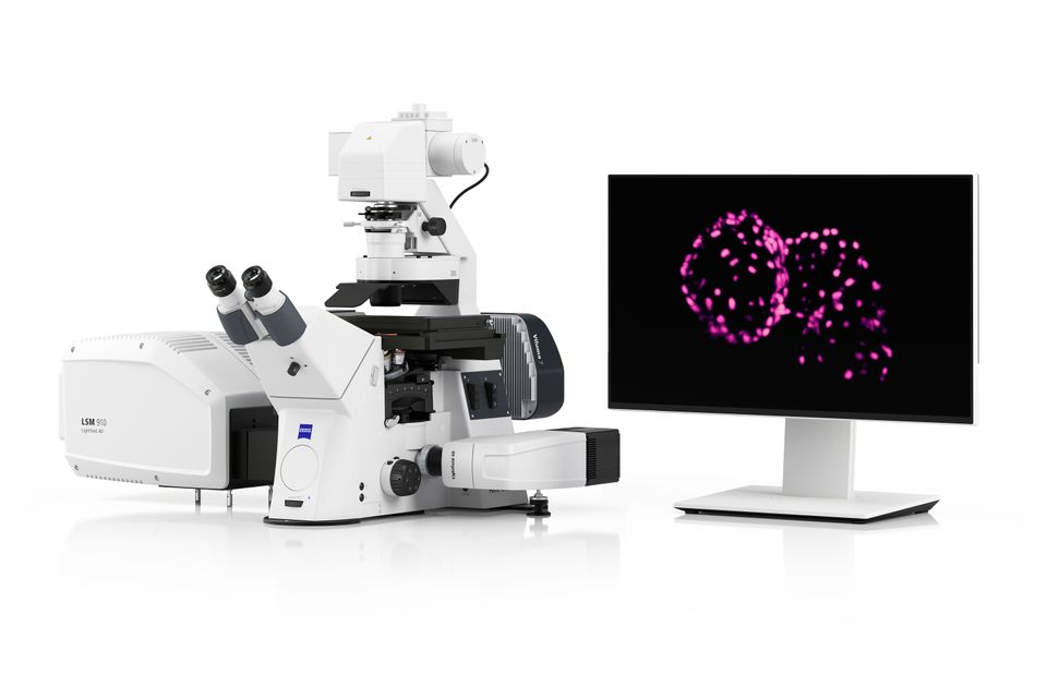 ZEISS Lightfield 4D for instant volumetric high-speed imaging | ZEISS ...